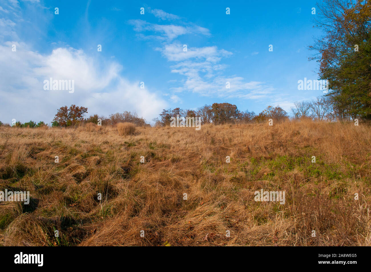 A landscape of of Earth and Sky Stock Photo - Alamy