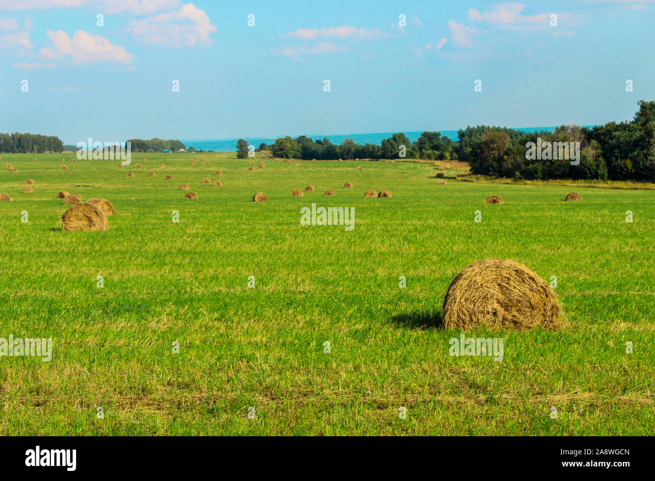 Landscape with a view of the mown field and a haystack on it Stock ...