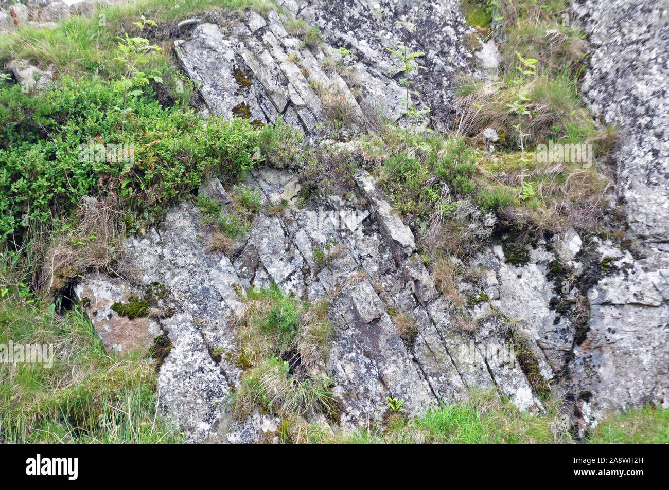 Tilted rock strata, Wet Sleddale, Cumbria Stock Photo - Alamy