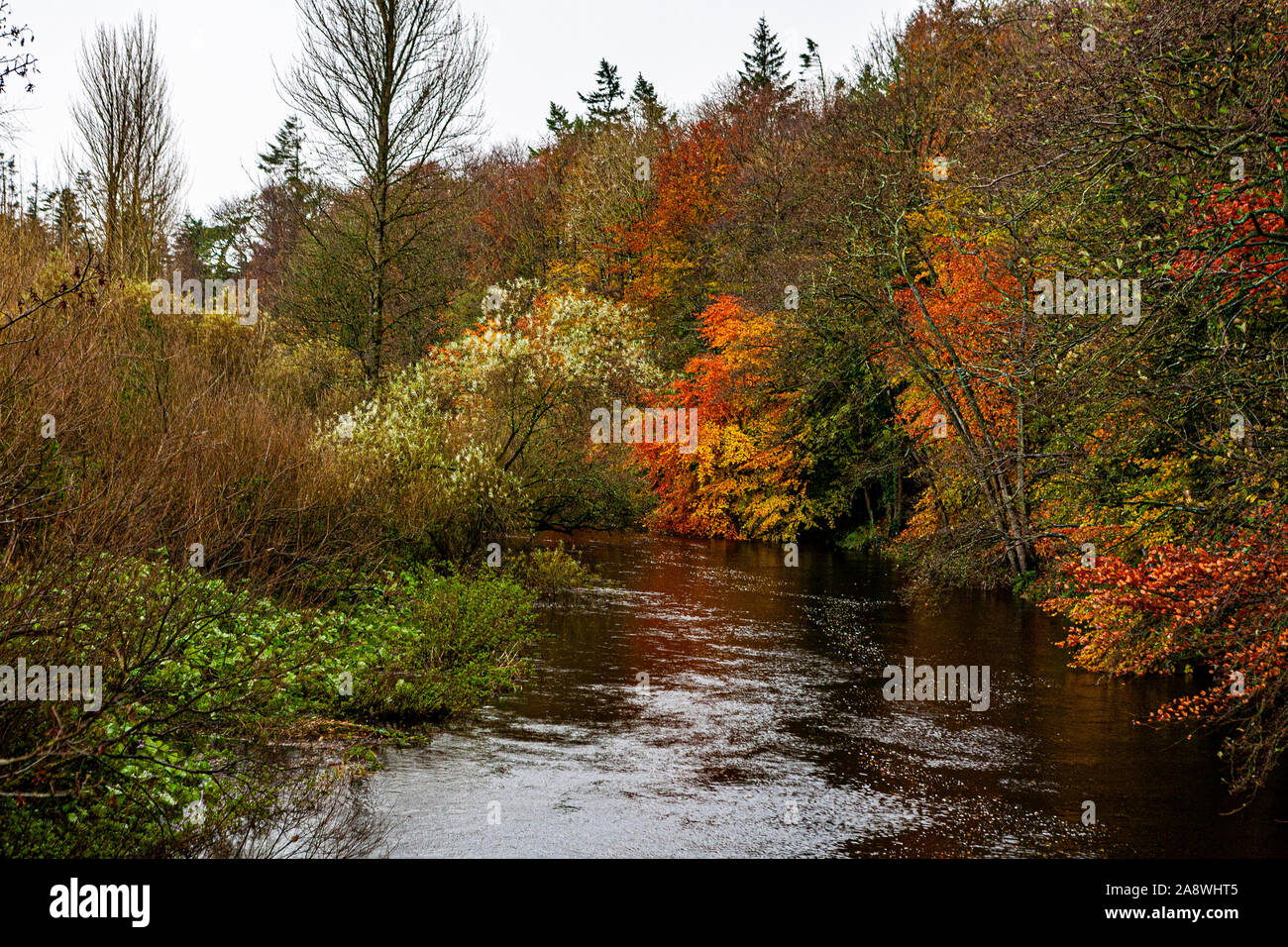 The Bush River starts its journey to the sea from the Altnahinch ...