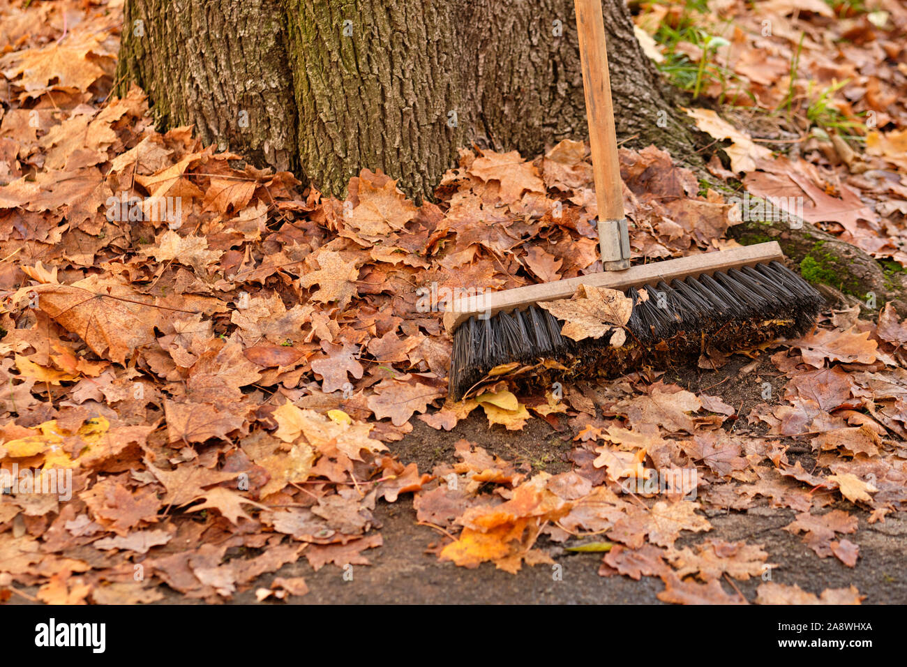 Leaning broom hi-res stock photography and images - Alamy