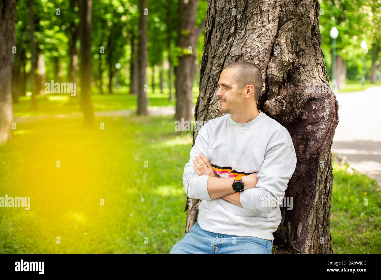 Leaned to the tree hi-res stock photography and images - Alamy
