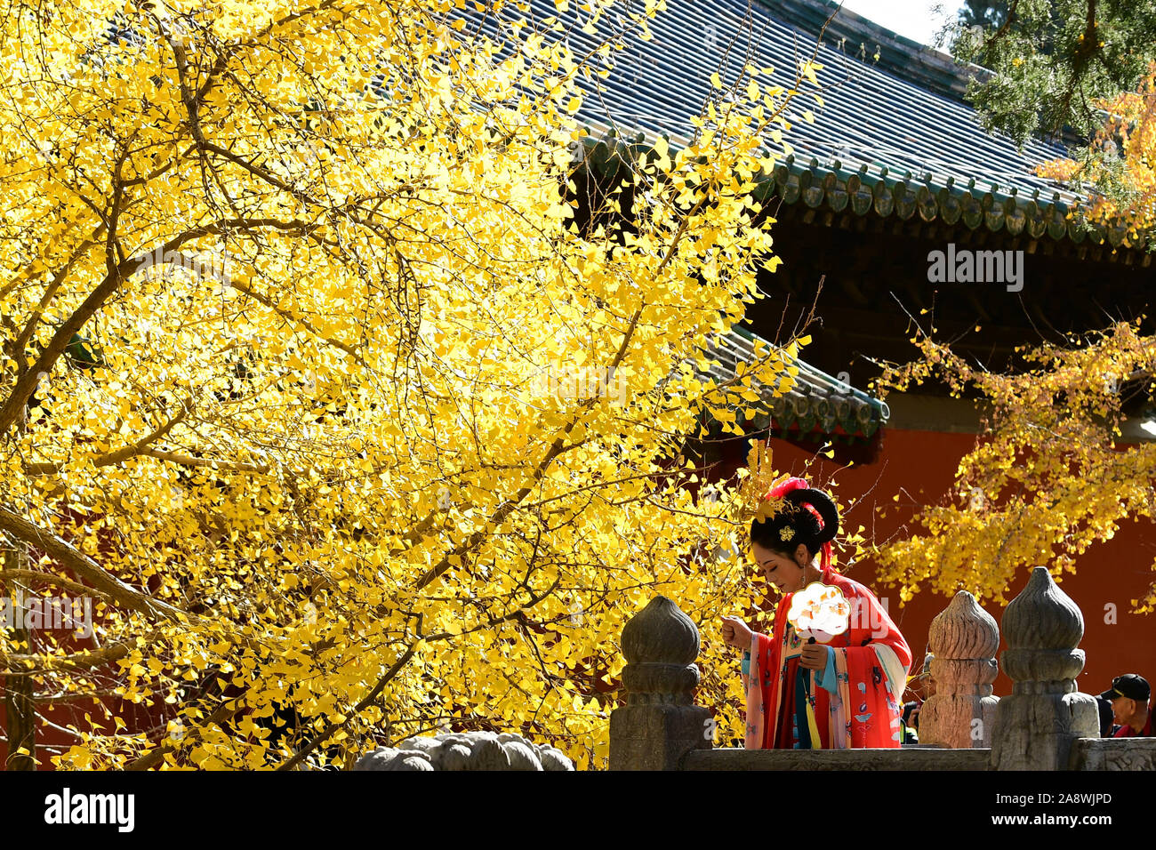 Wearing hanfu hi-res stock photography and images - Alamy