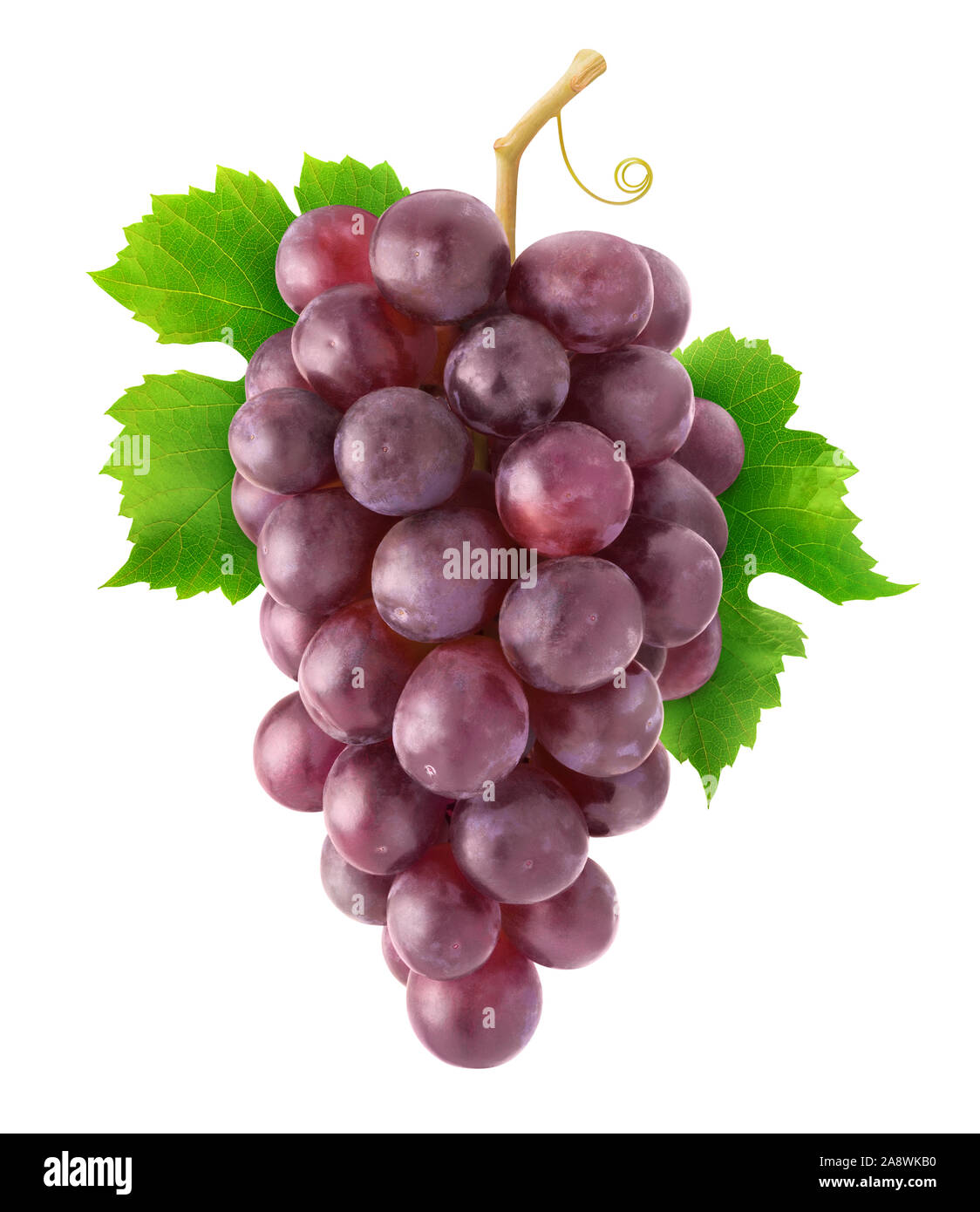 Isolated grapes. Hanging cluster of red grapes isolated on white ...