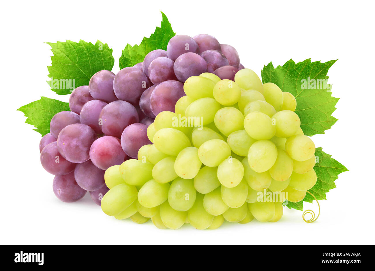 Isolated two grape varieties. Bunch of white and red grapes with leaves ...