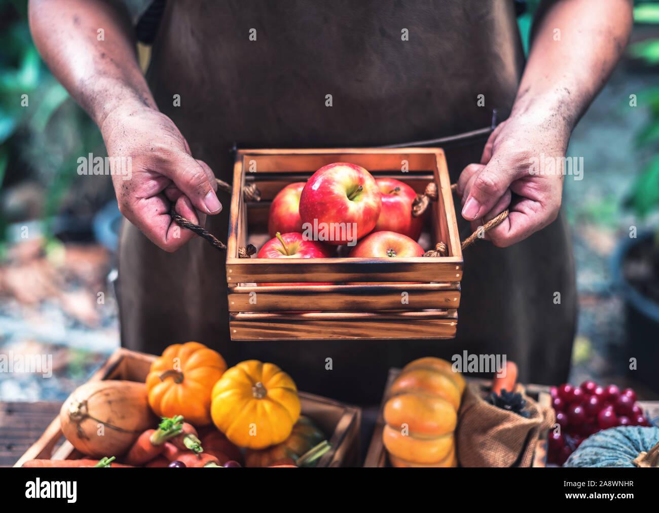 Hands the cornucopia hi-res stock photography and images - Alamy