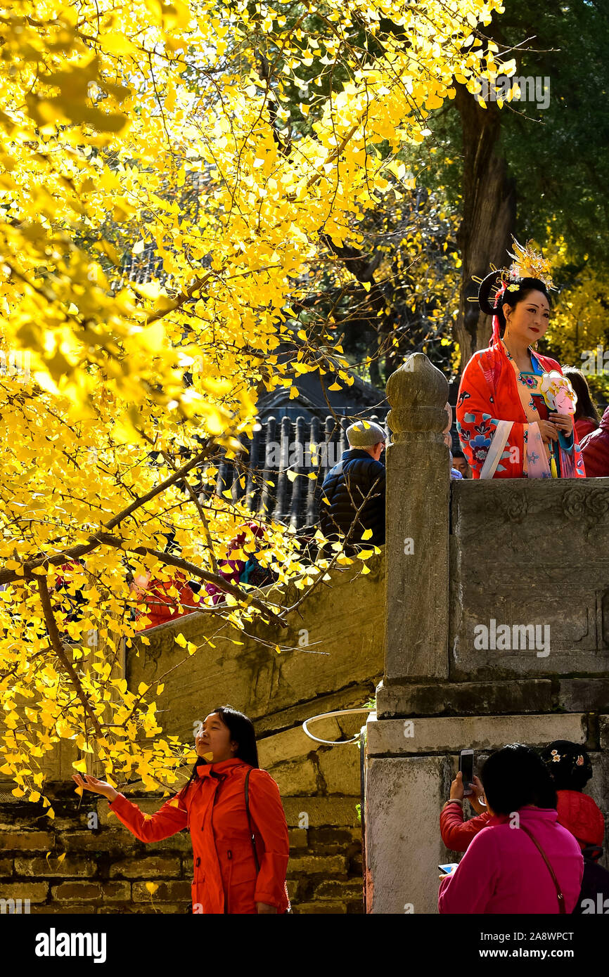 Dajue Temple High Resolution Stock Photography and Images - Alamy