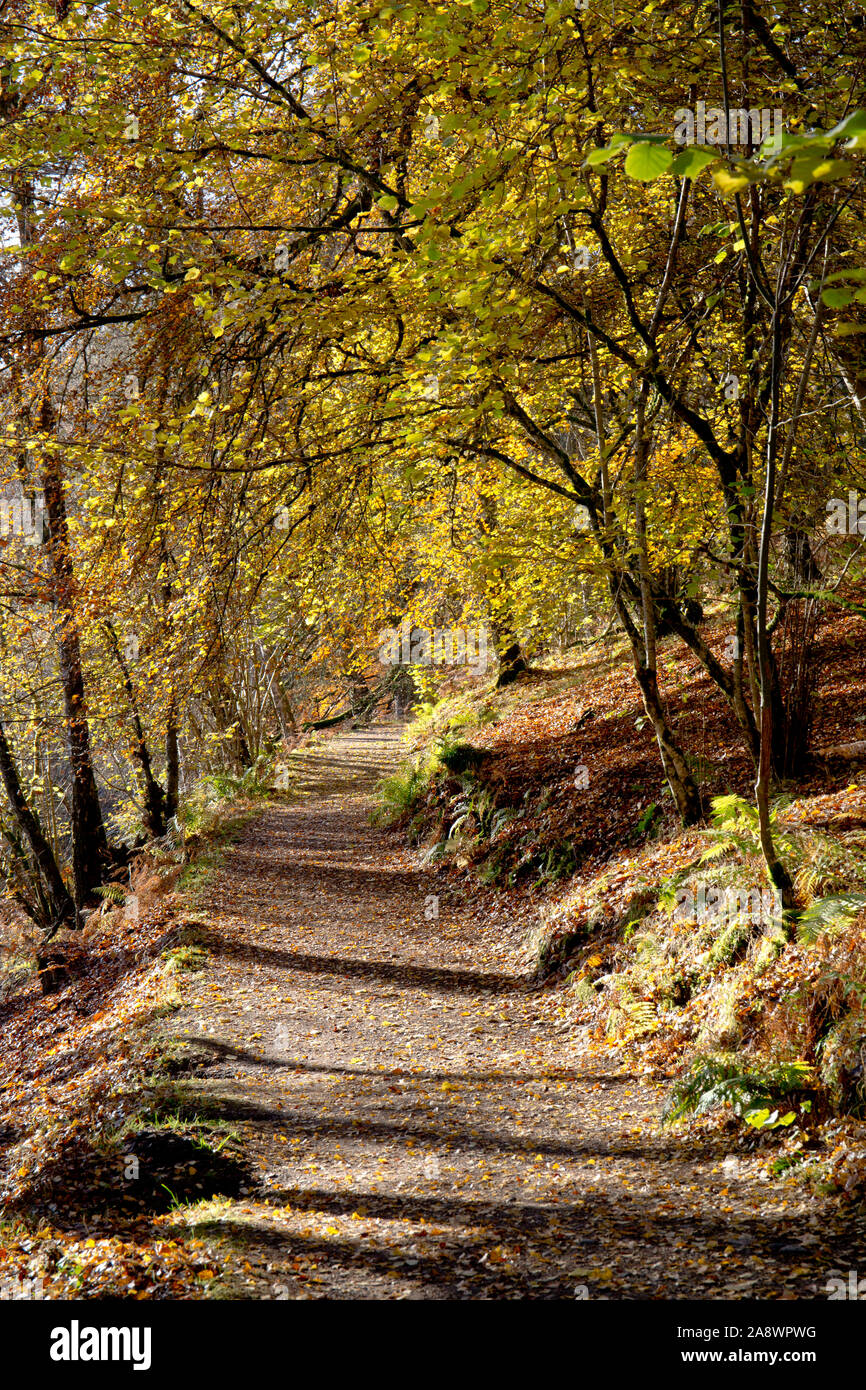 The Rob Roy Way at Aberfeldy, Perth and Kinross, Scotland Stock Photo ...