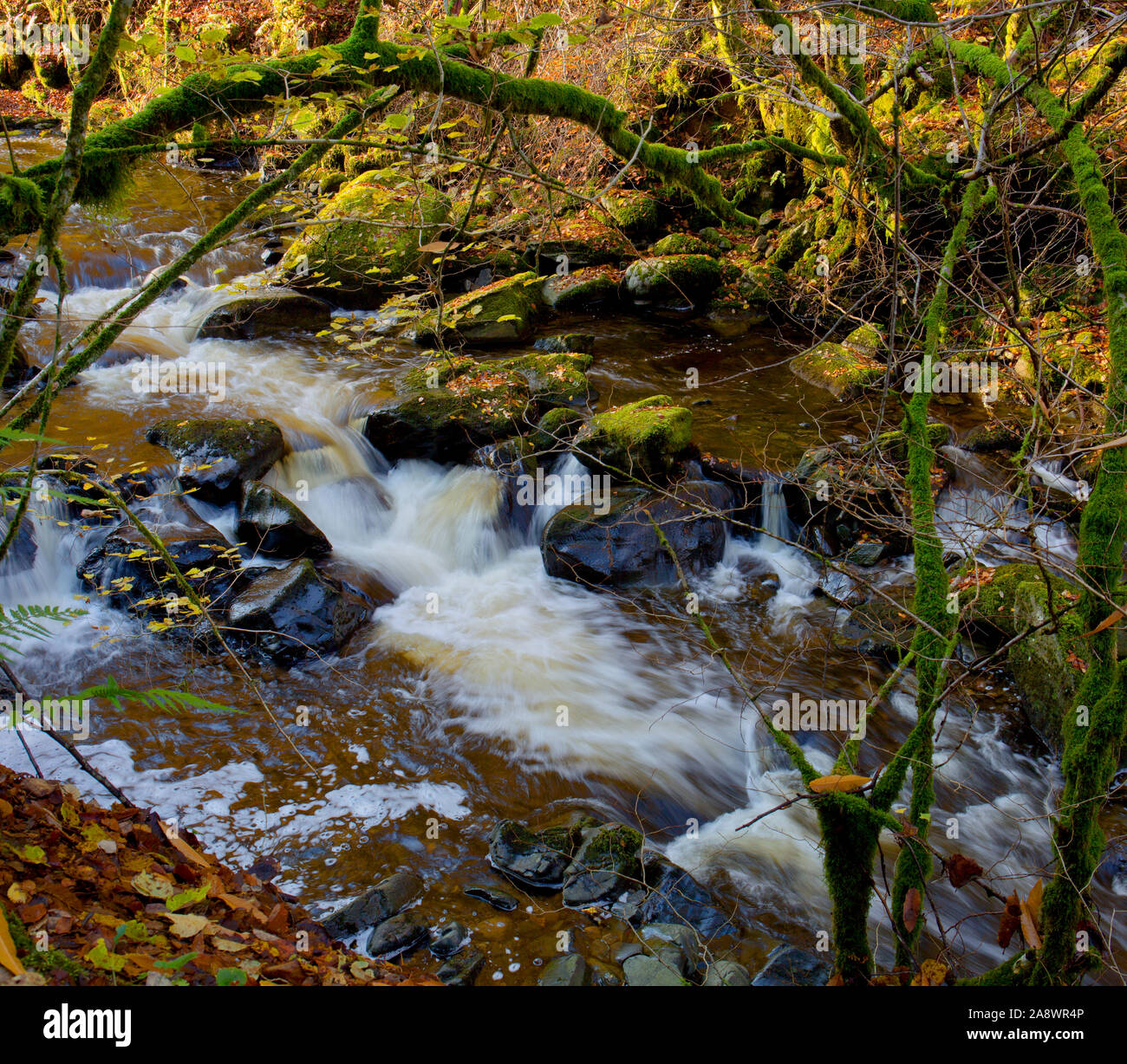 The Moness river and waterfalls at the Birks of Aberfeldy Stock Photo ...
