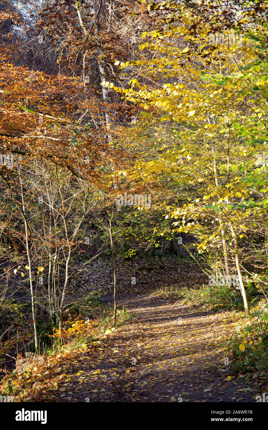The Rob Roy Way at Aberfeldy, Perth and Kinross, Scotland Stock Photo ...