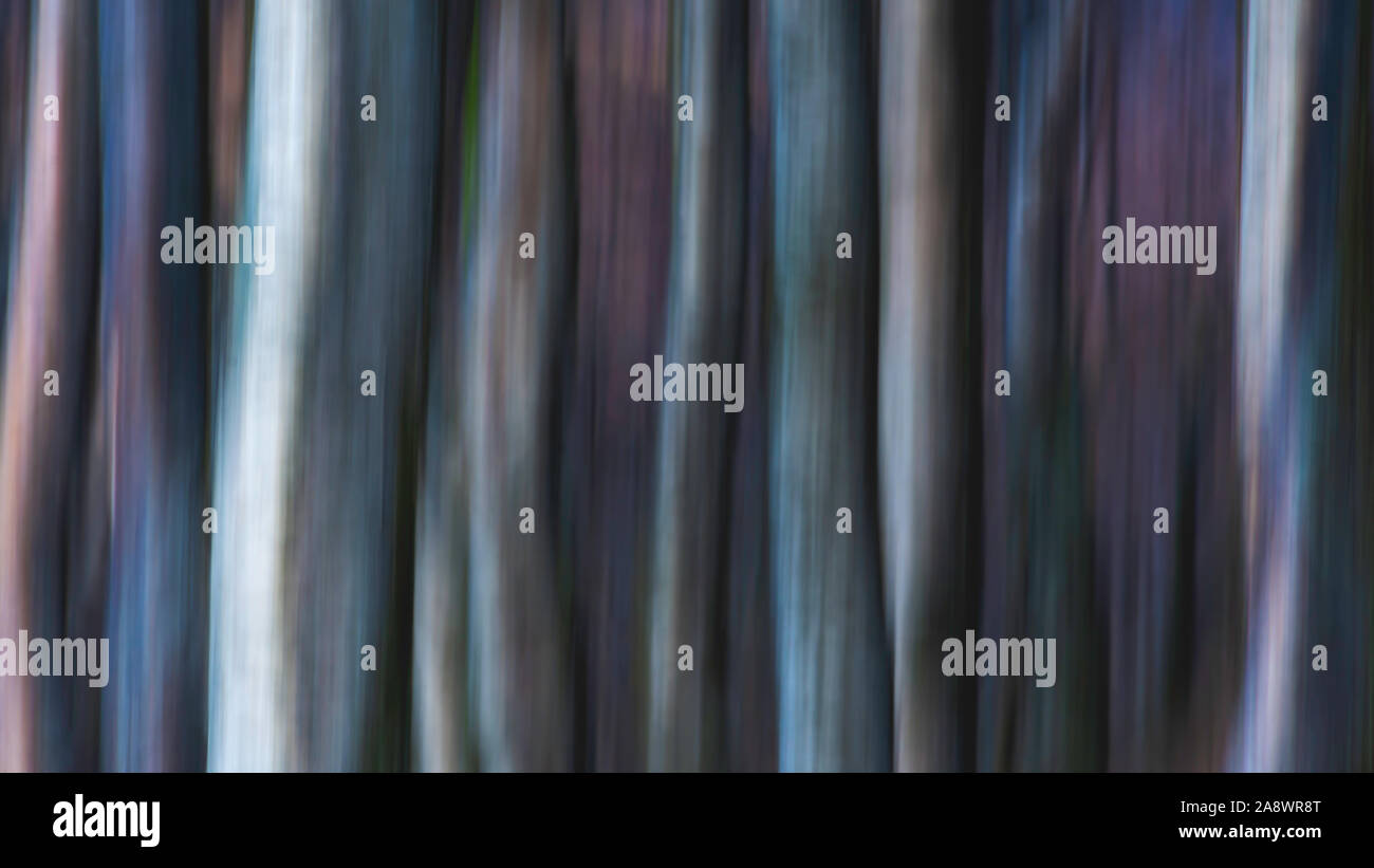 Trees in woodland.Nature abstract created using intentional camera ...