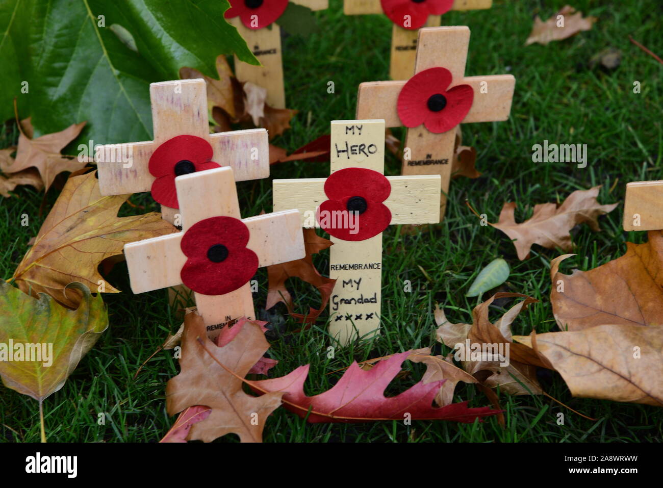 war memorial crosses Stock Photo - Alamy