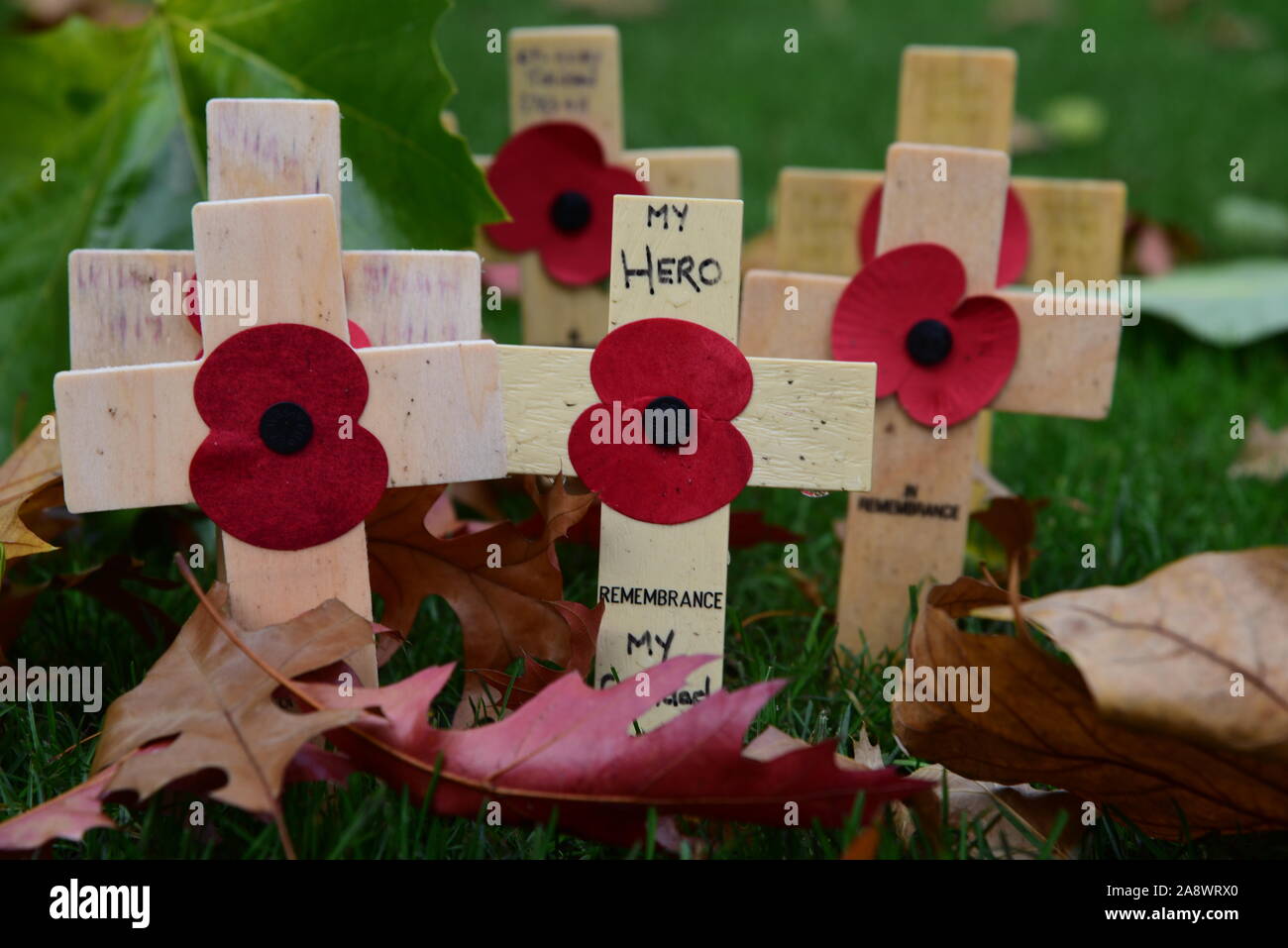 war memorial crosses Stock Photo - Alamy