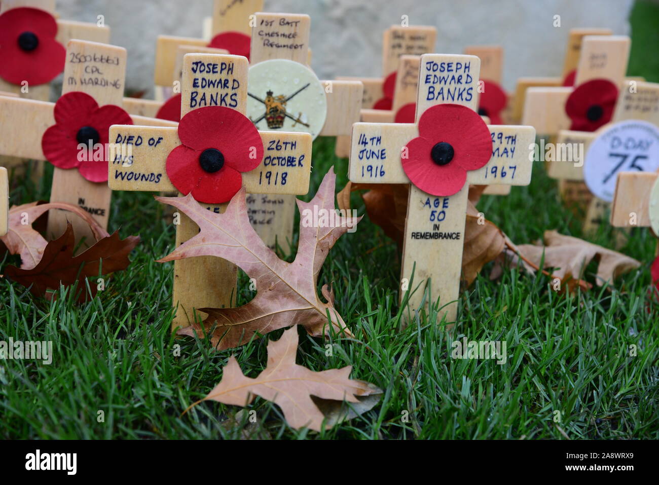 war memorial crosses Stock Photo - Alamy
