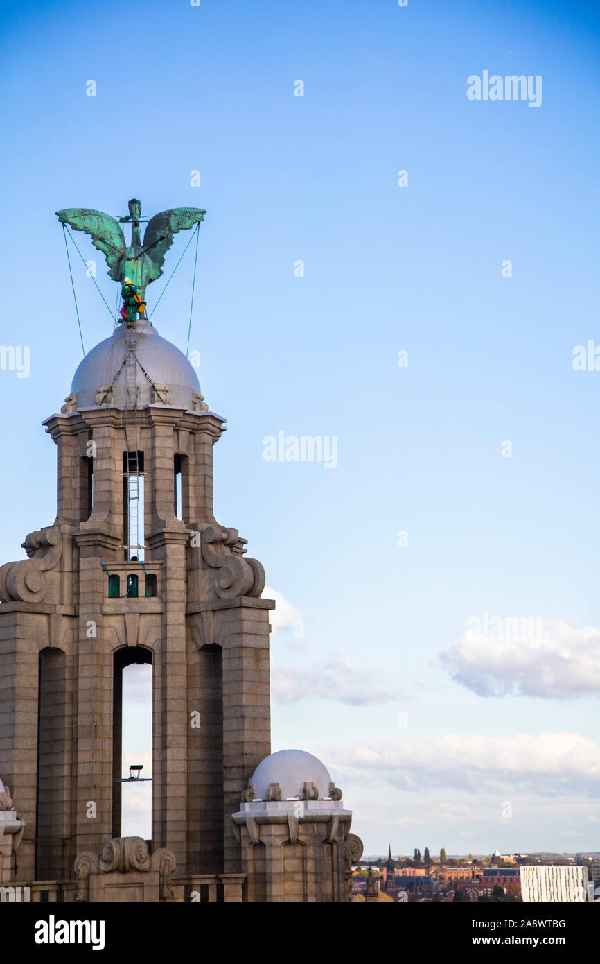Liver birds hi-res stock photography and images - Alamy