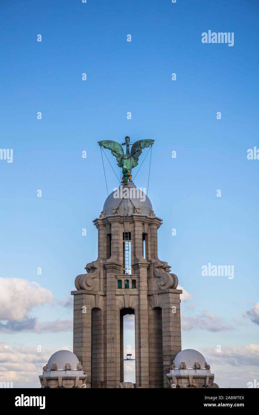 Liverpool, UK - October 30 2019: One of the Liver birds on top of the ...