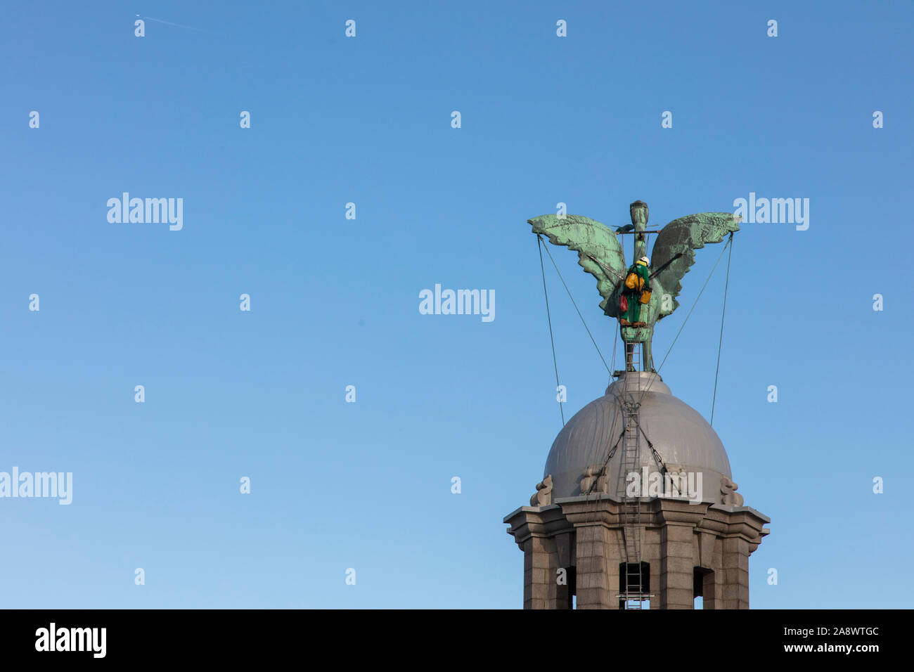 Liver birds hi-res stock photography and images - Alamy