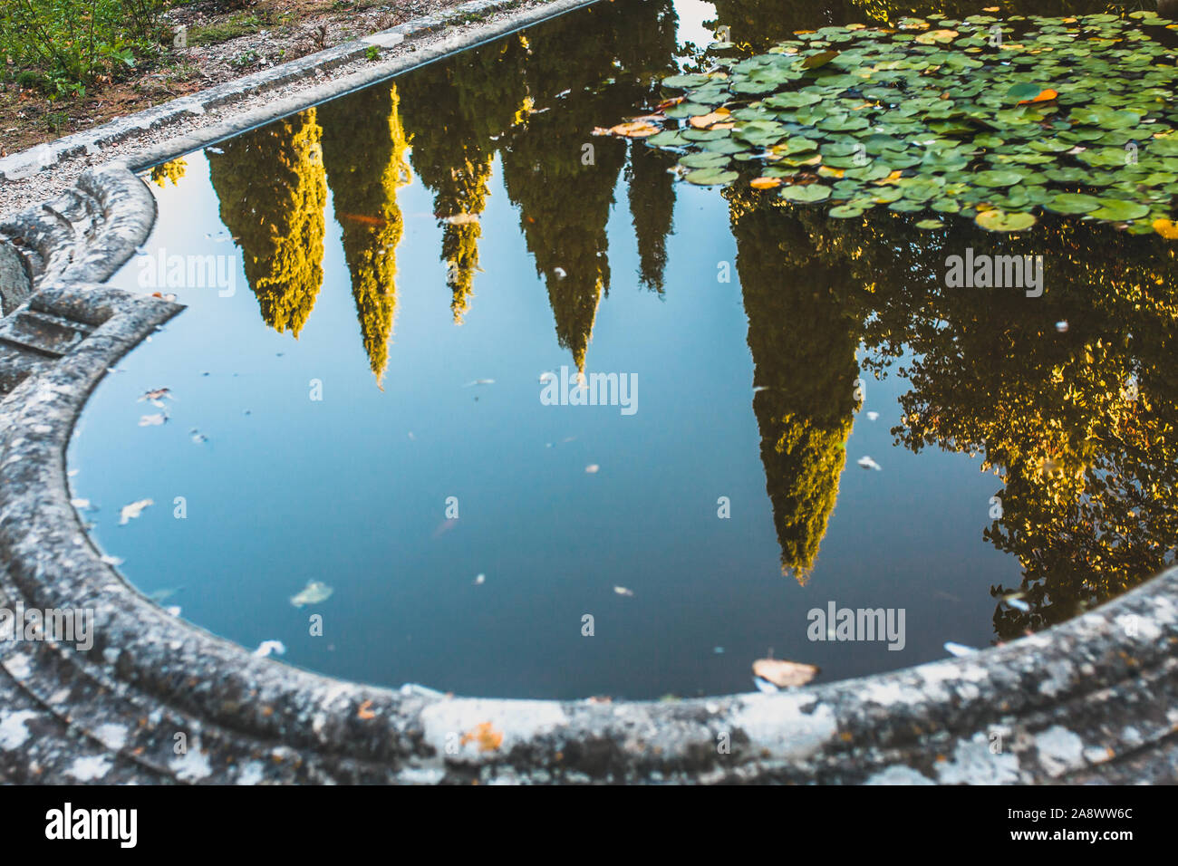 Mediterranean flora - evergreen trees reflected in the old pond Stock ...
