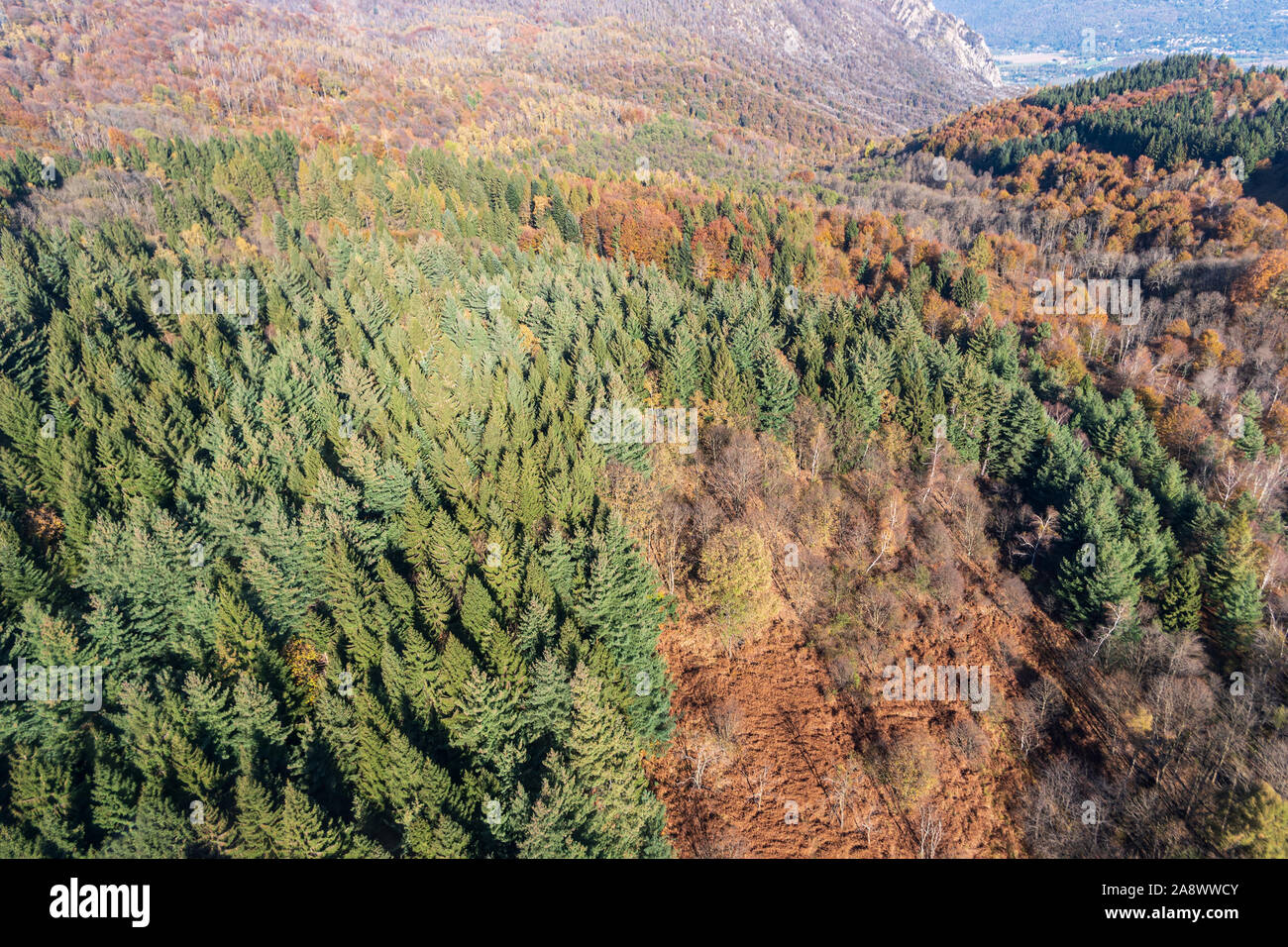 Ecology elevated view hi-res stock photography and images - Alamy