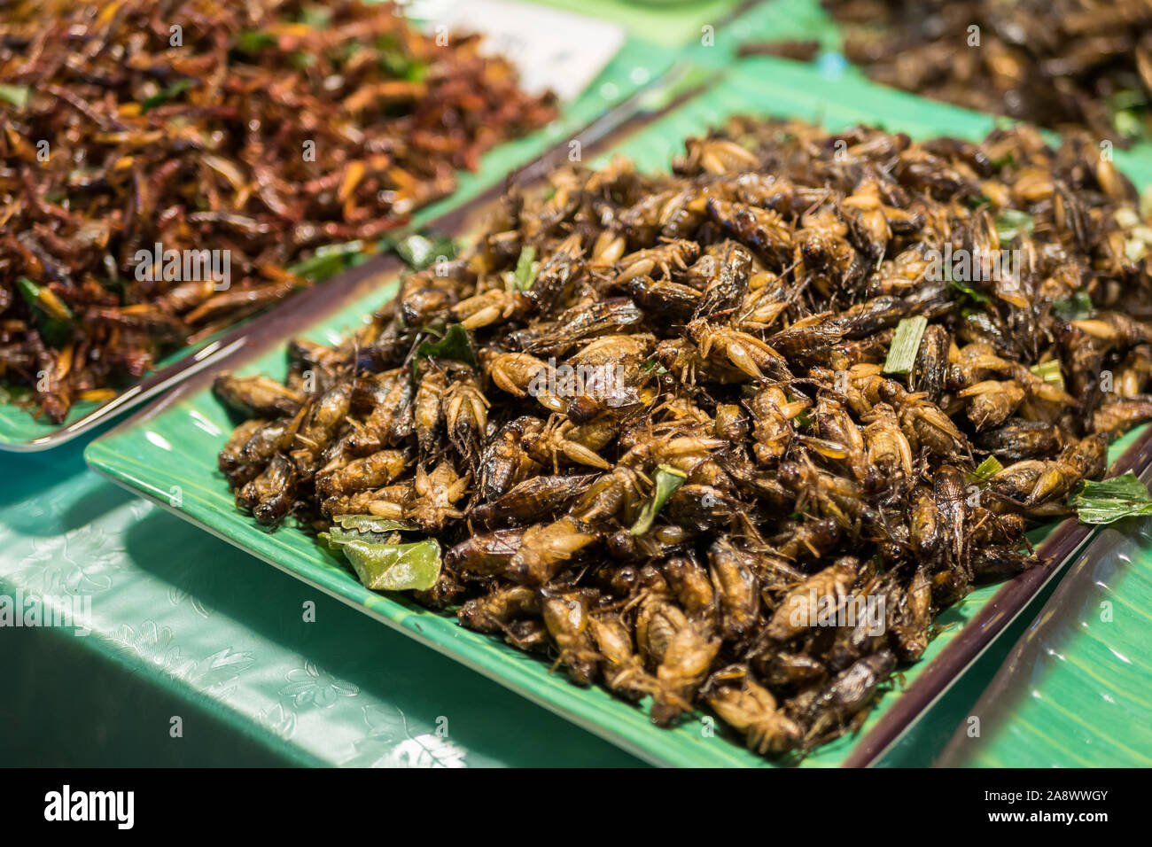 Fried Crickets