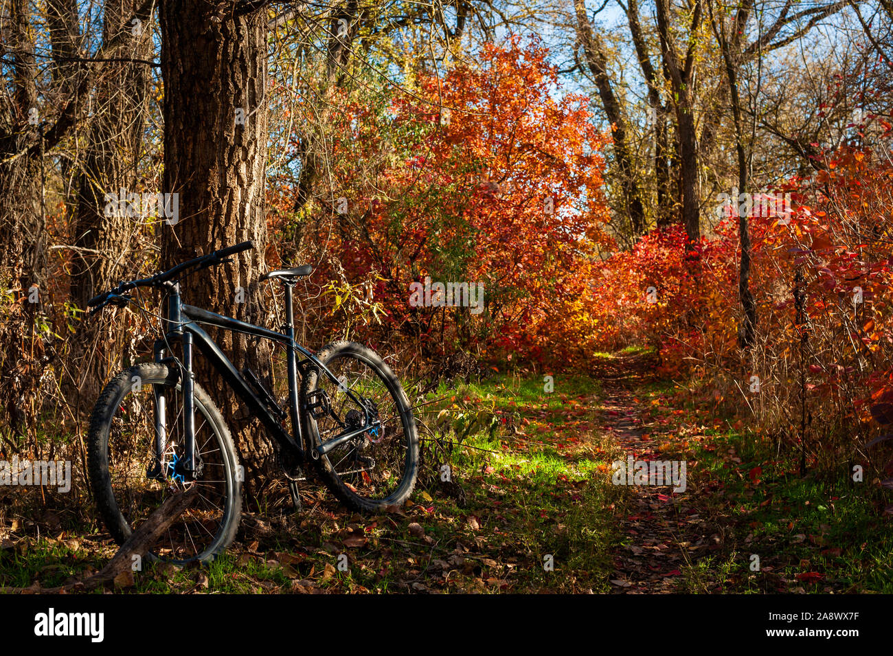 Bike fun autumn leaves hi-res stock photography and images - Alamy