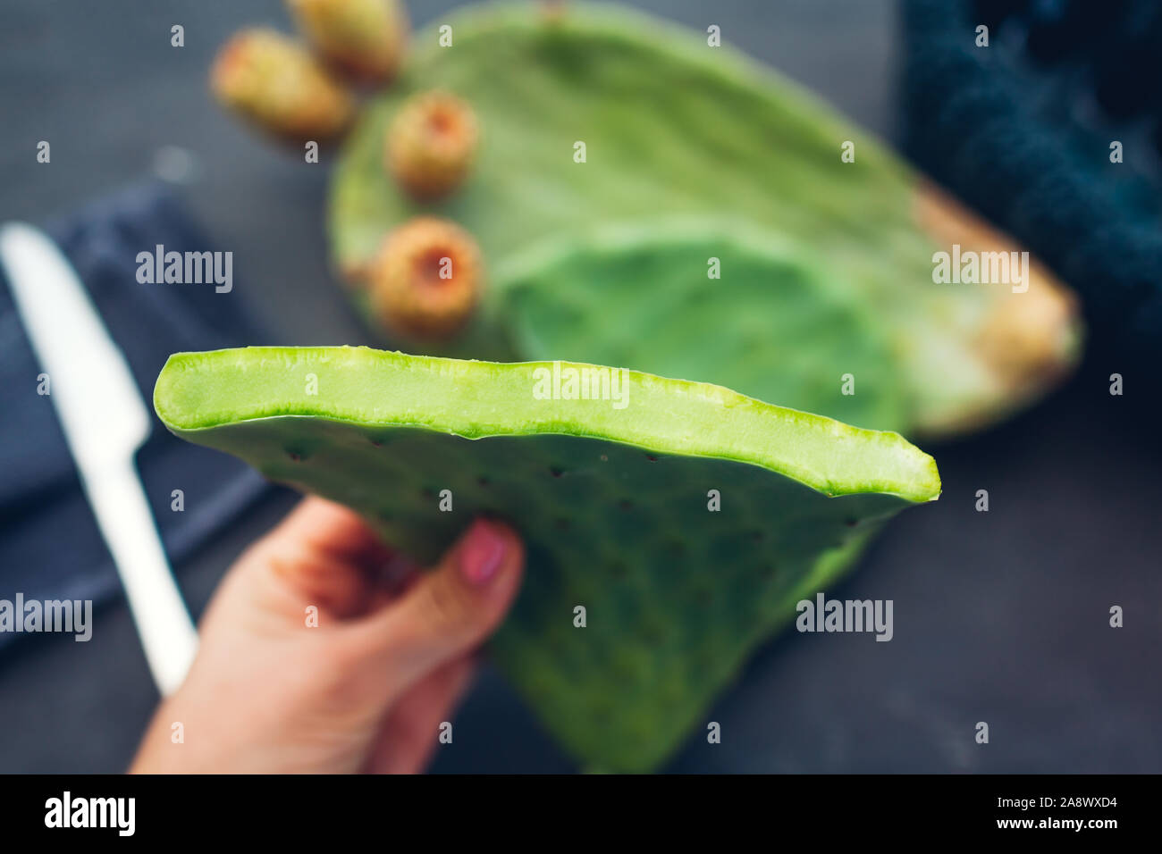 Cutting cactus hi-res stock photography and images - Alamy