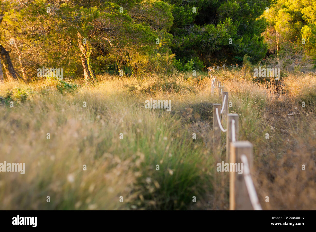 Nature Reserve in the National Park Stock Photo - Alamy