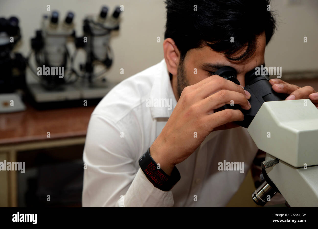 Student working with Microscope Stock Photo - Alamy