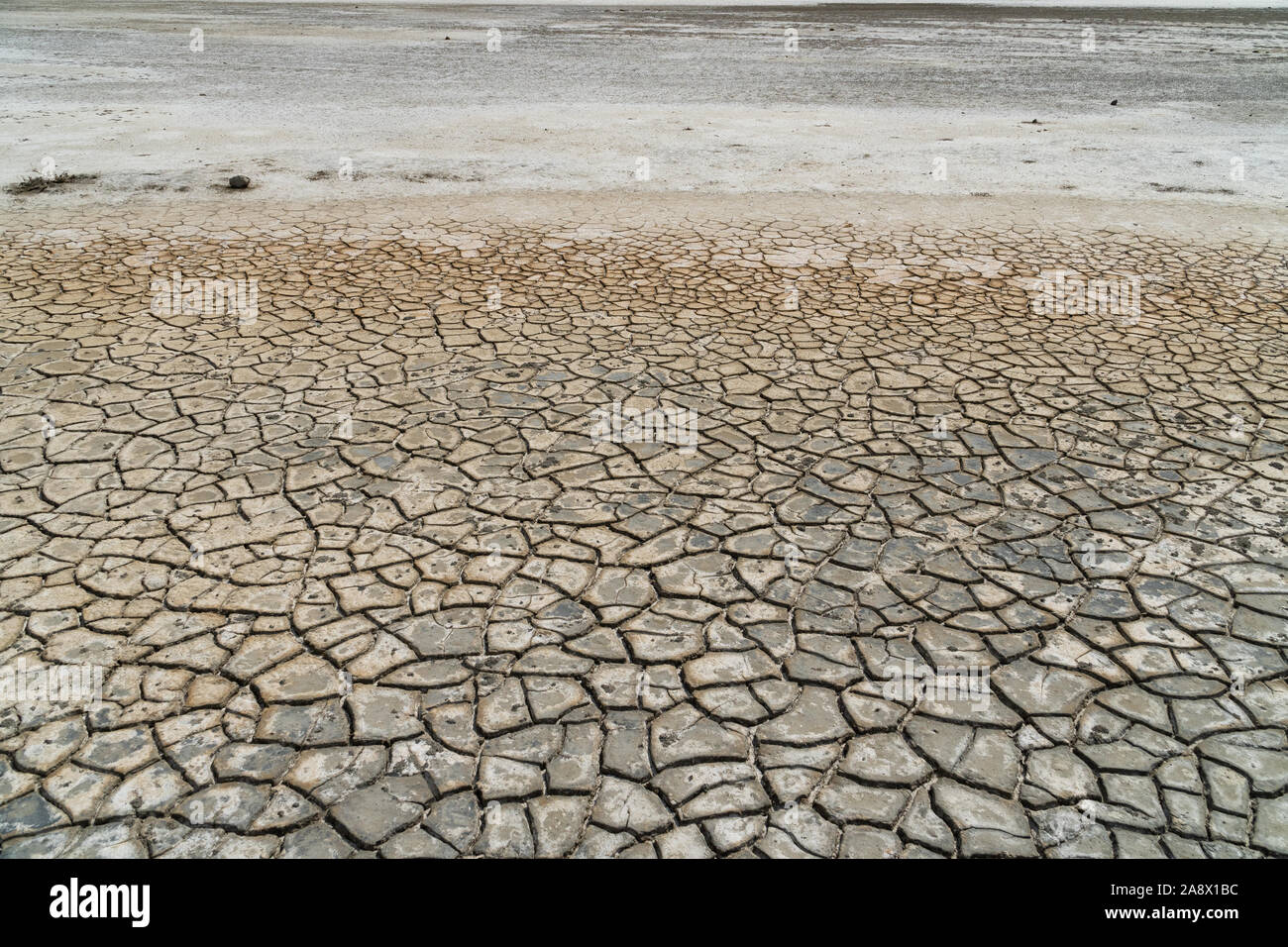The dry soil of an old salt sea under the blue sky - environmental ...