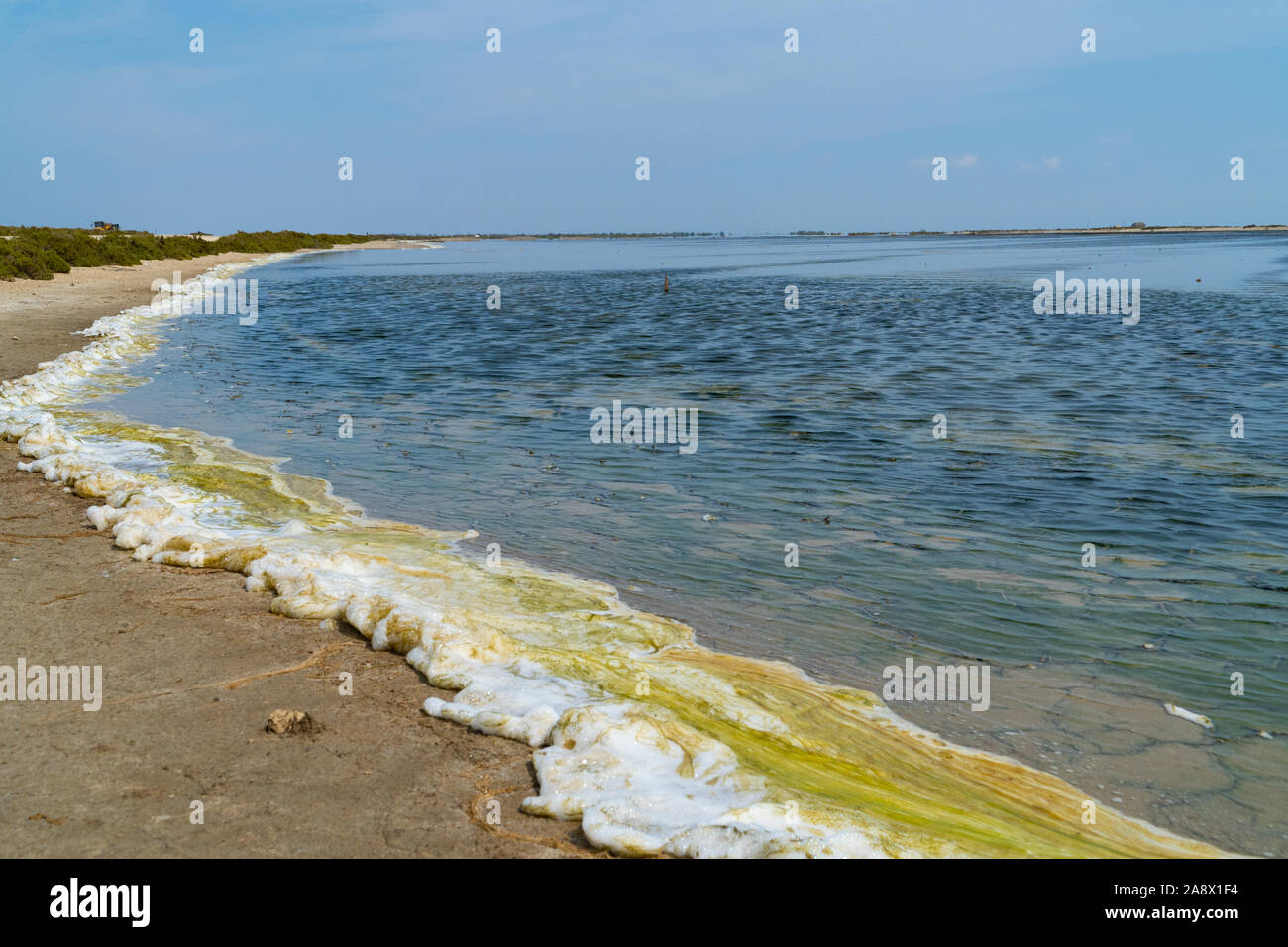 White toxic foam hi-res stock photography and images - Alamy