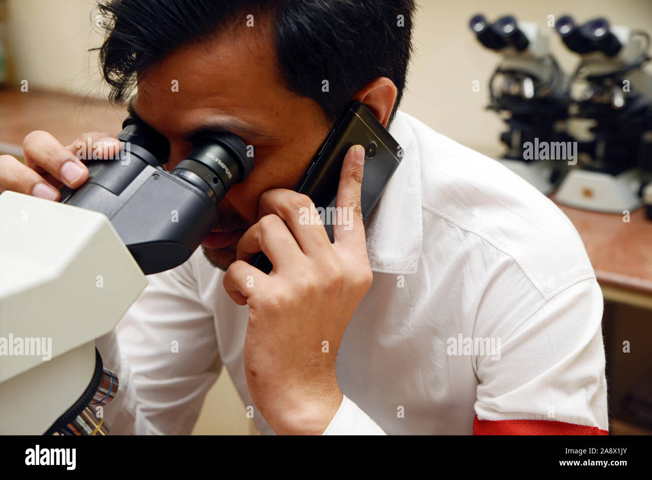 Student working with Microscope Stock Photo - Alamy