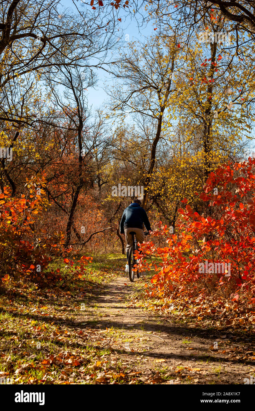 Man riding the mountain bike in the autumn season view from back Stock ...