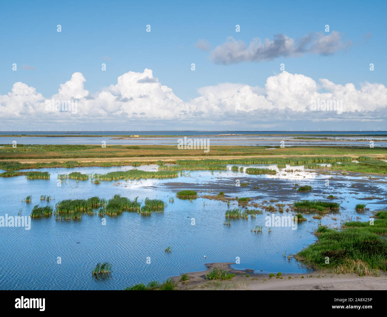 Panorama of marshes on manmade artificial island of Marker Wadden ...