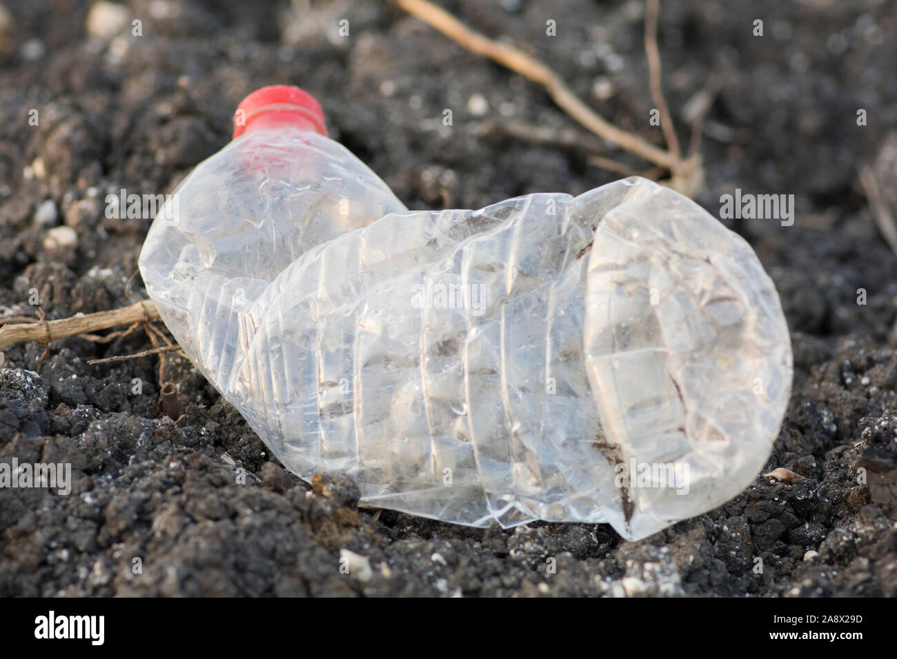 Empty Water Bottle Trash