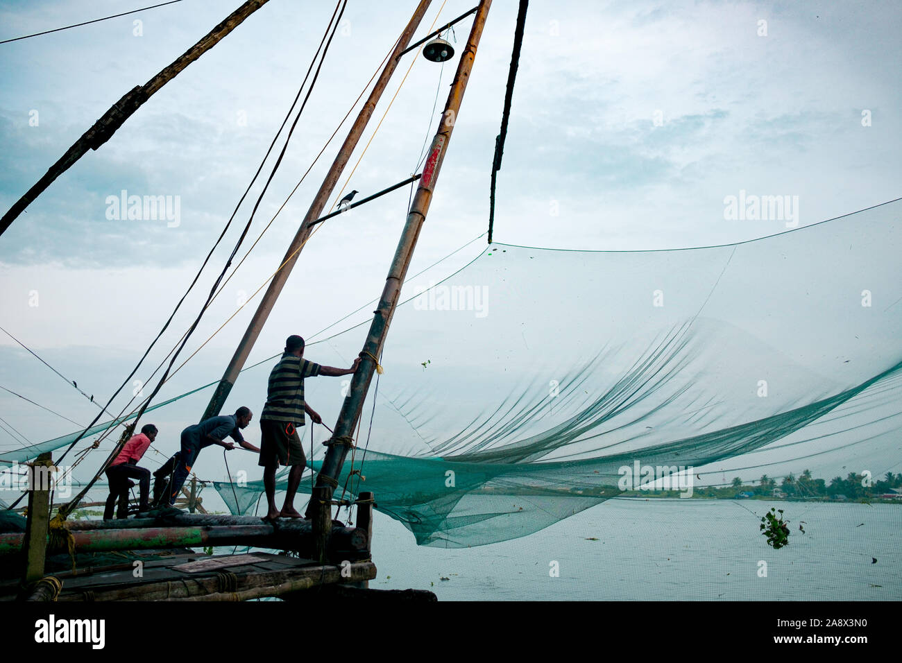 Indian Ichthyic High Resolution Stock Photography and Images - Alamy