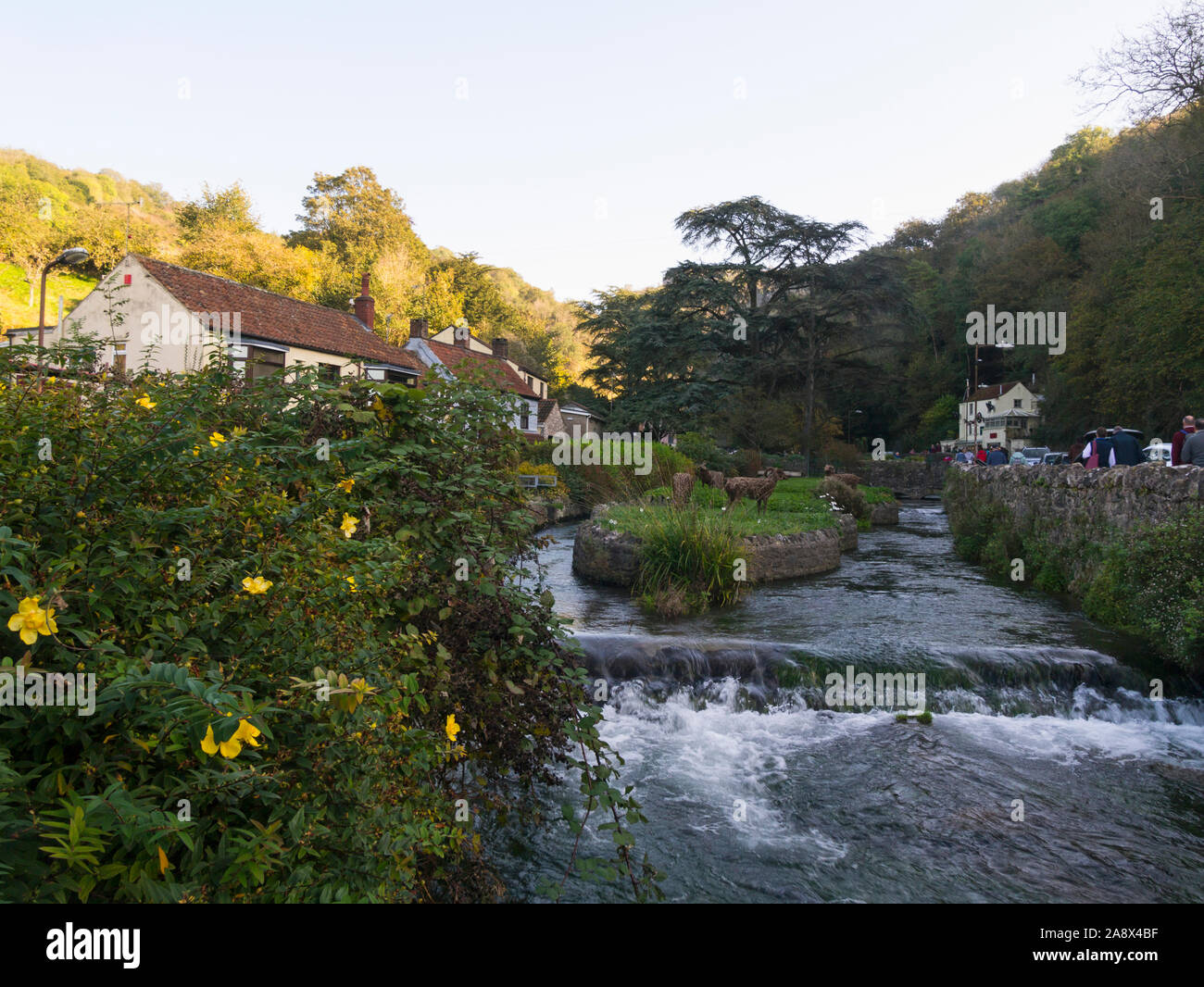 Underground cheddar yeo river hi-res stock photography and images - Alamy