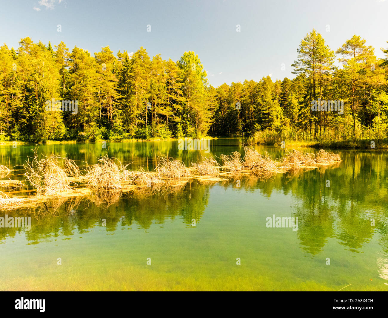 landscape with bright green lake and colorful trees, beautiful summer ...