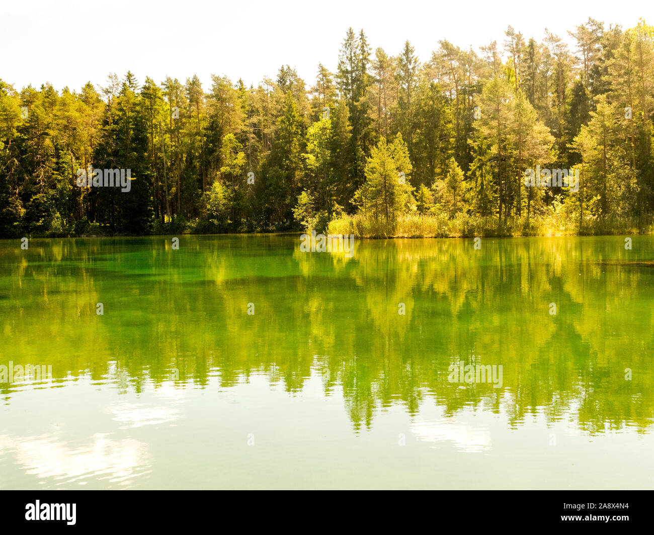 landscape with bright green lake and colorful trees, beautiful summer ...