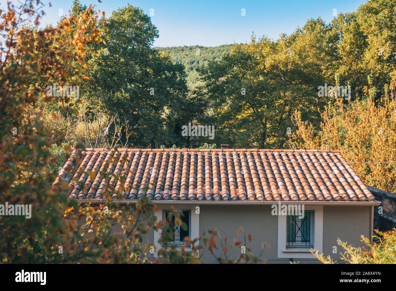 The roof of red tiles on the background of green foliage of trees Stock ...