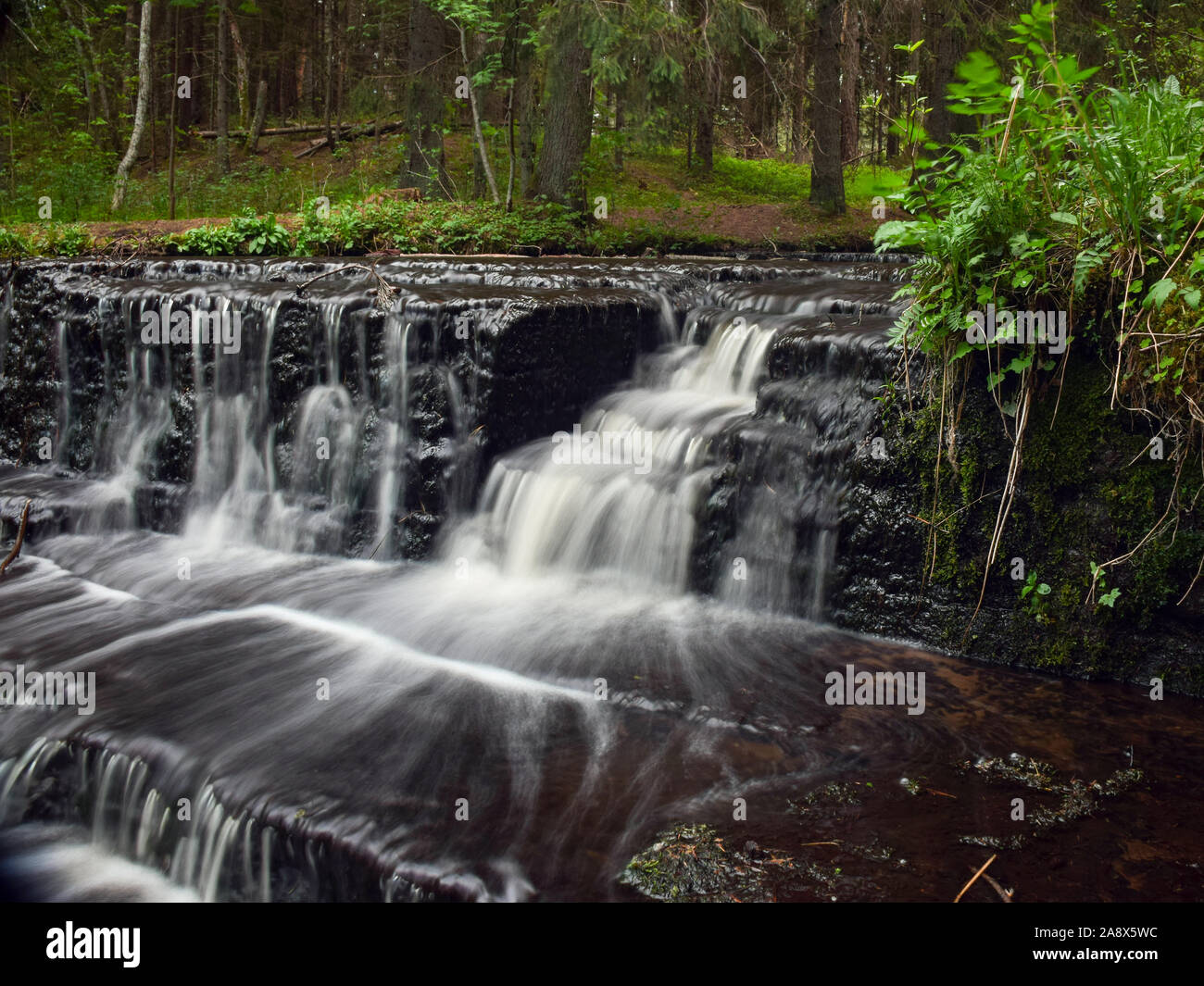waterfall, water, nature, stream, forest, cascade, landscape, river ...