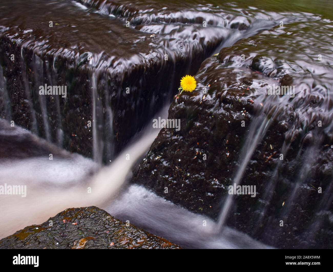 waterfall, water, nature, stream, forest, cascade, landscape, river ...