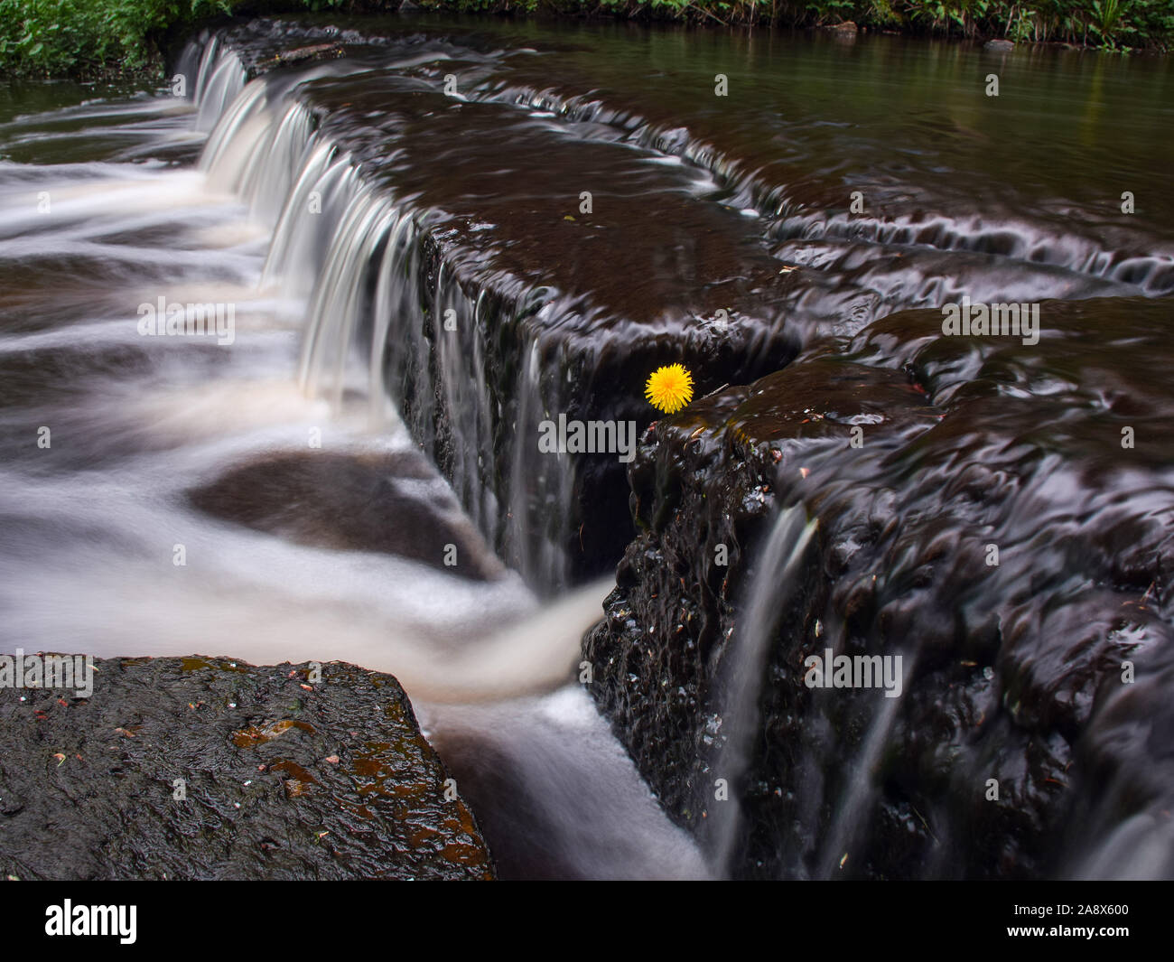 waterfall, water, nature, stream, forest, cascade, landscape, river ...