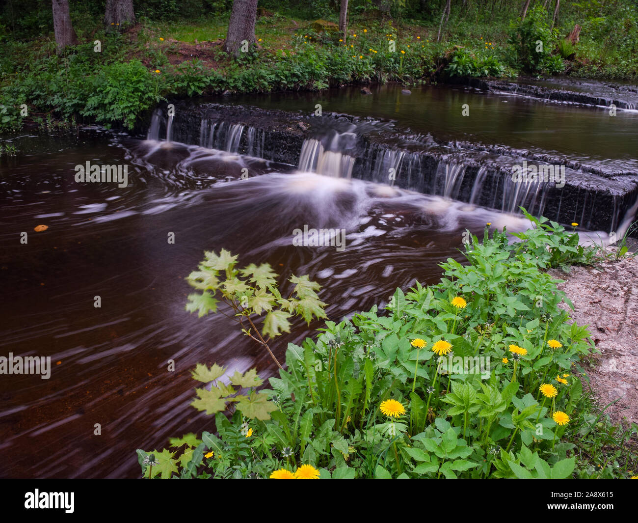 waterfall, water, nature, stream, forest, cascade, landscape, river ...