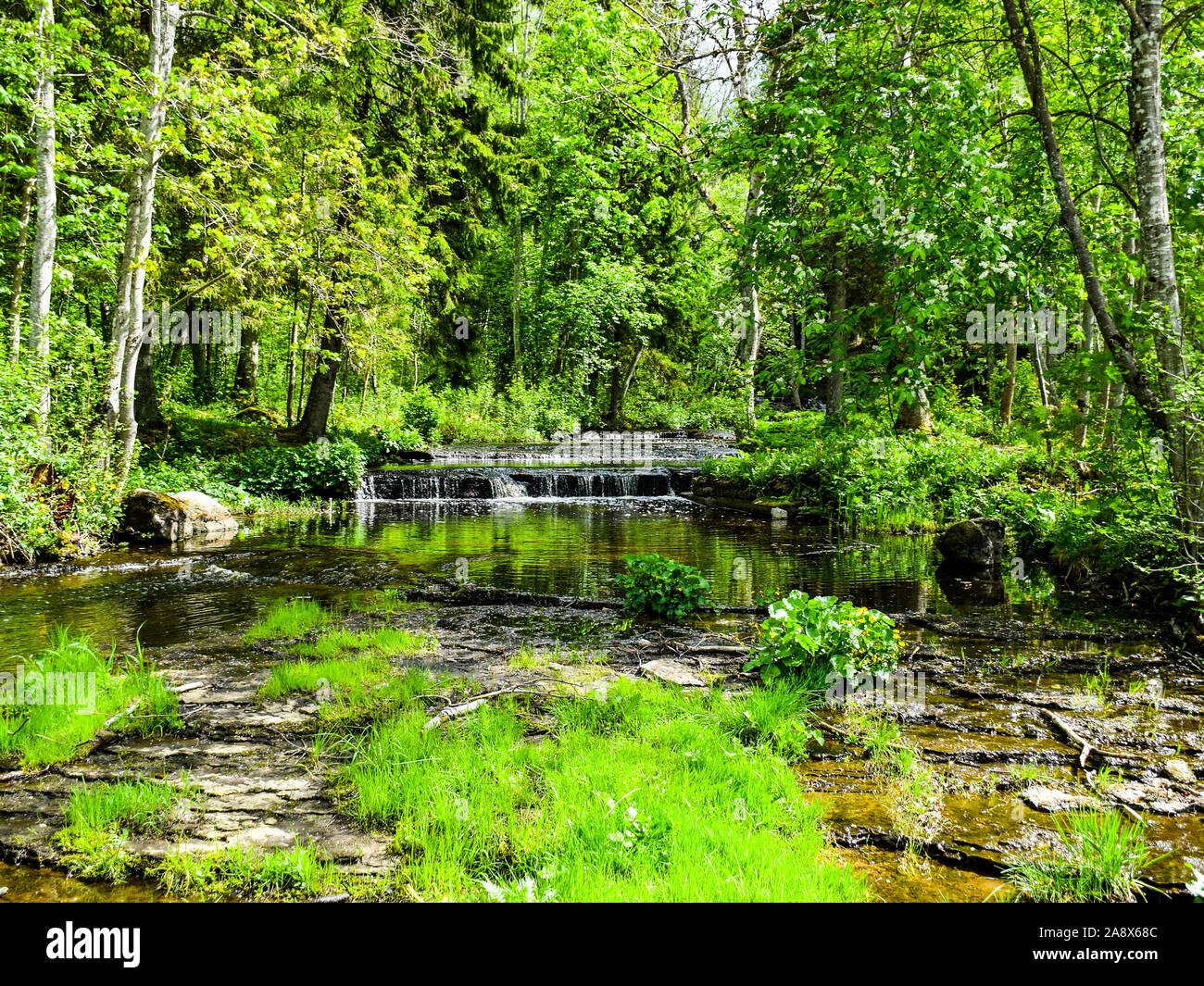 waterfall, water, nature, stream, forest, cascade, landscape, river ...