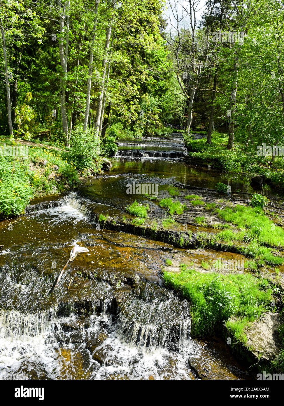 waterfall, water, nature, stream, forest, cascade, landscape, river ...