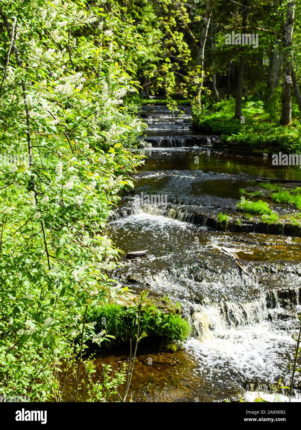 waterfall, water, nature, stream, forest, cascade, landscape, river ...