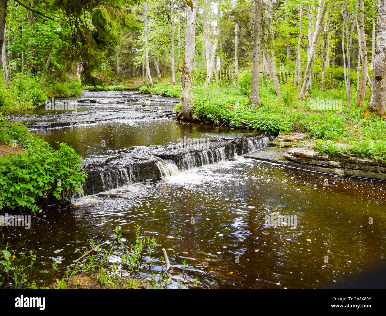 waterfall, water, nature, stream, forest, cascade, landscape, river ...