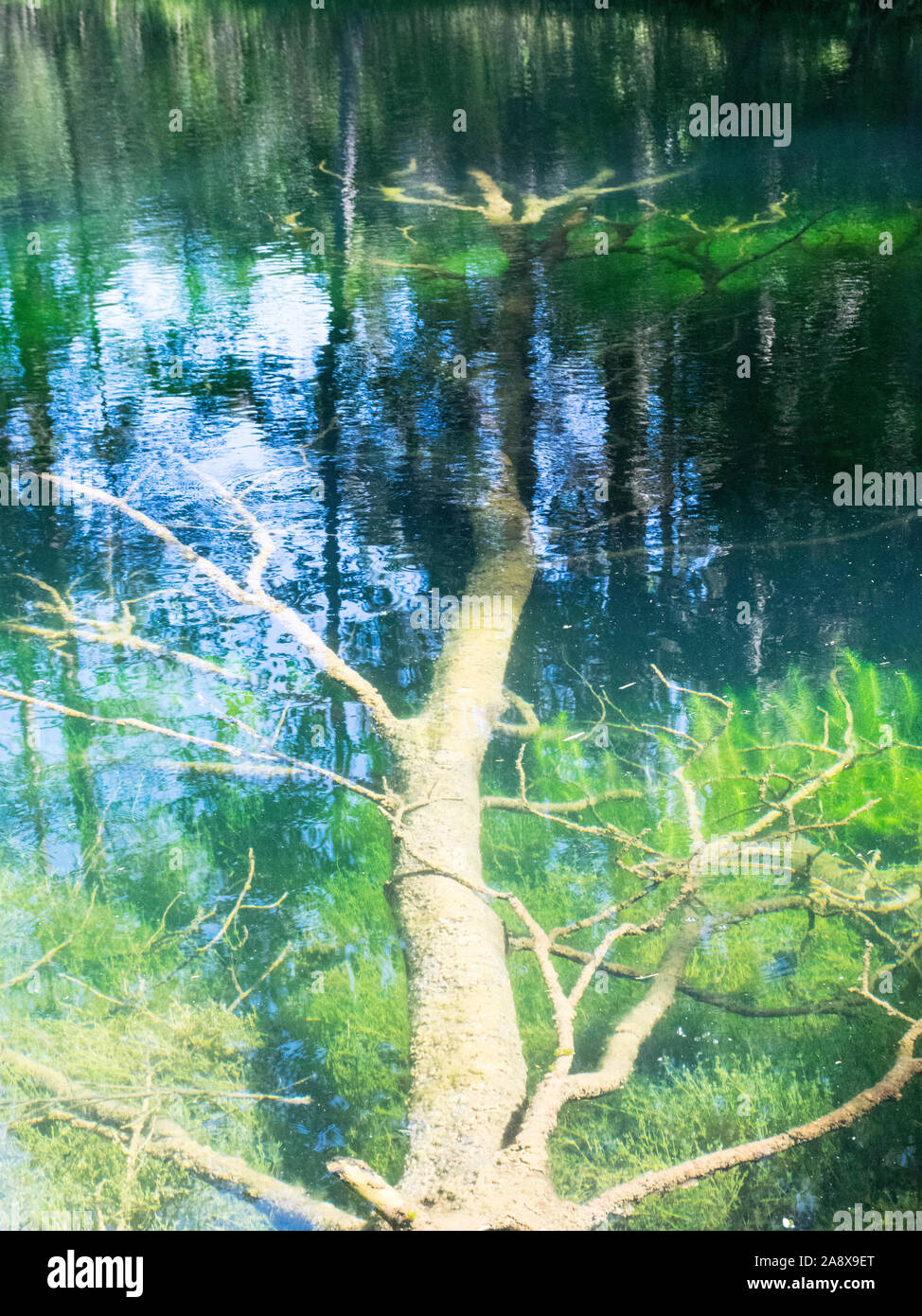 : road, forest, nature, tree, green, trees, autumn, travel, landscape ...