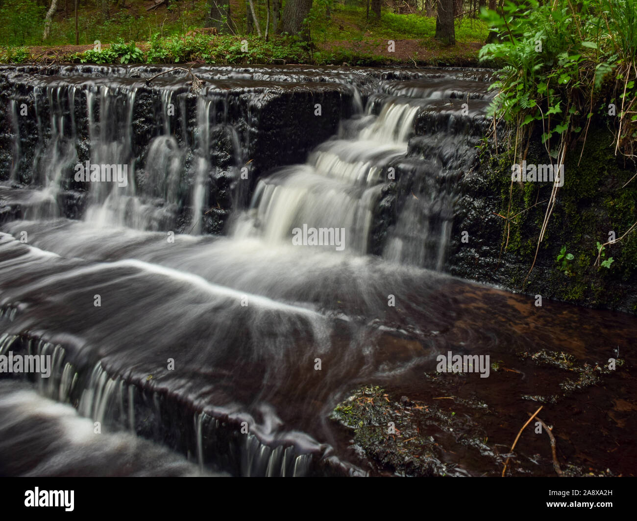 waterfall, water, nature, stream, forest, cascade, landscape, river ...