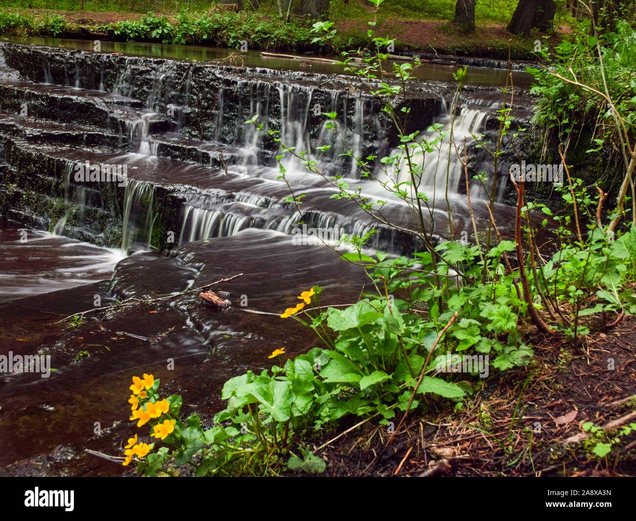 waterfall, water, nature, stream, forest, cascade, landscape, river ...